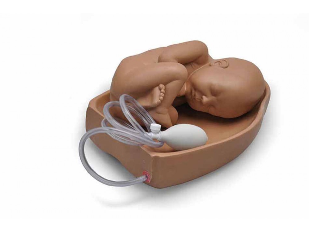 Advanced Childbirth Simulator
