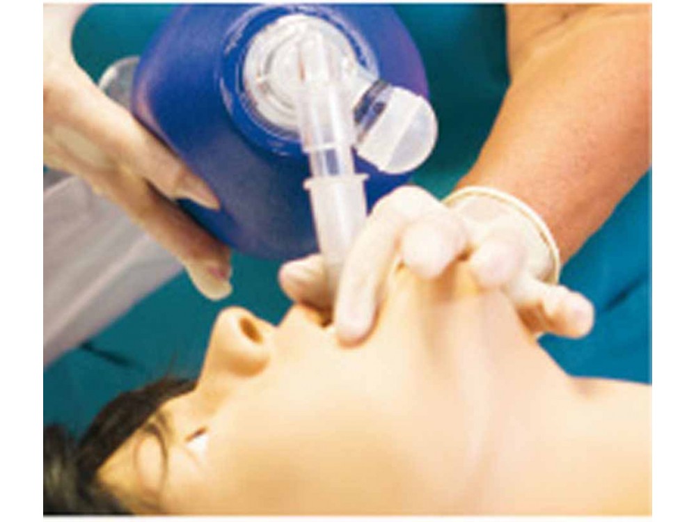 Basic Lucy Maternal And Neonatal Birthing Simulator